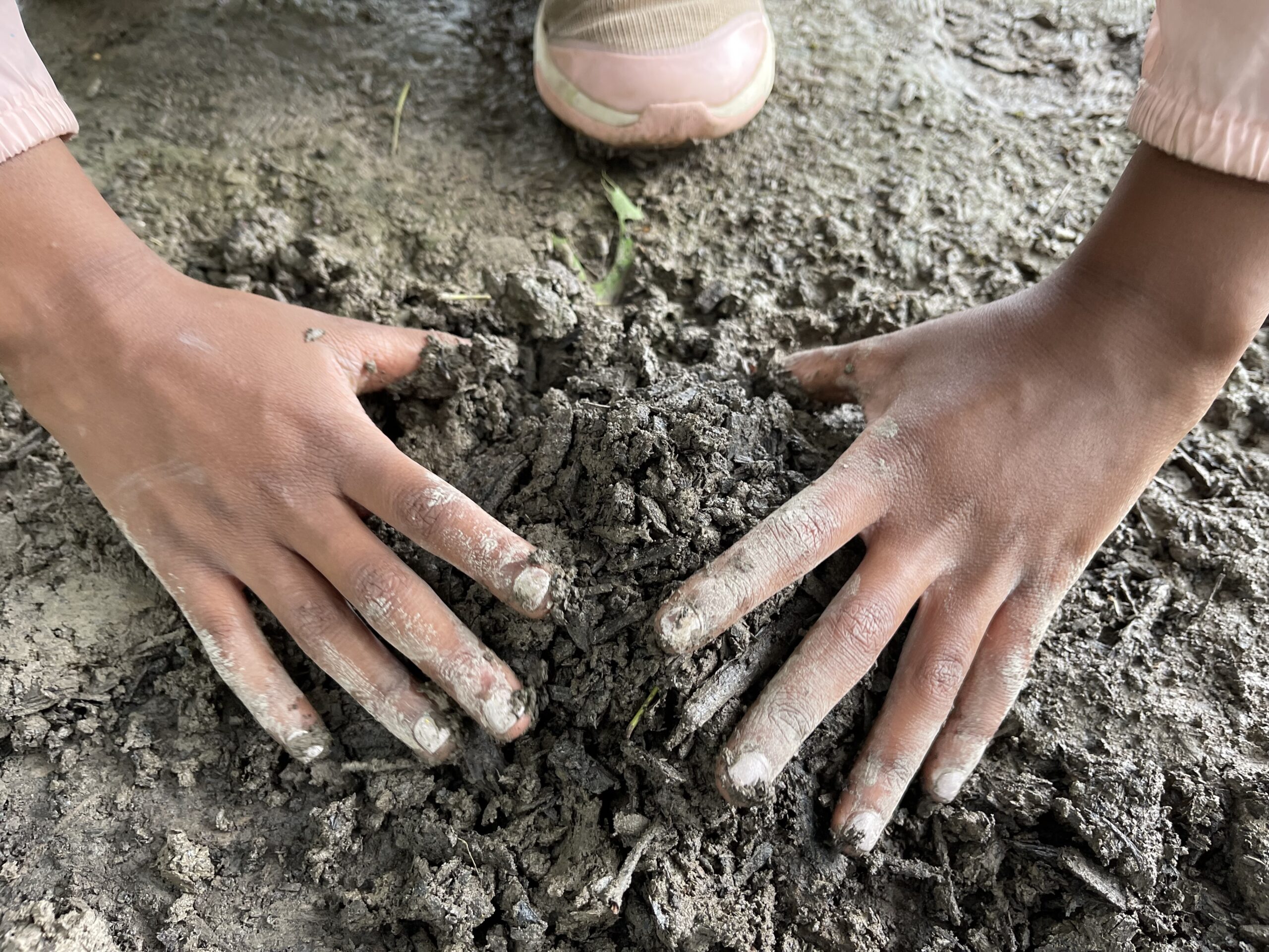 Getting Rooted in Gardening | UT Gardens - The State Botanical Garden ...