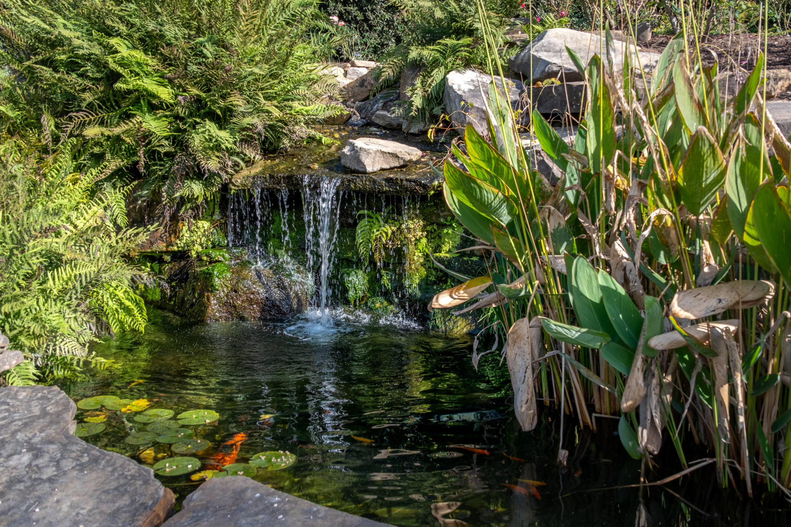 Knoxville | UT Gardens - The State Botanical Garden of Tennessee