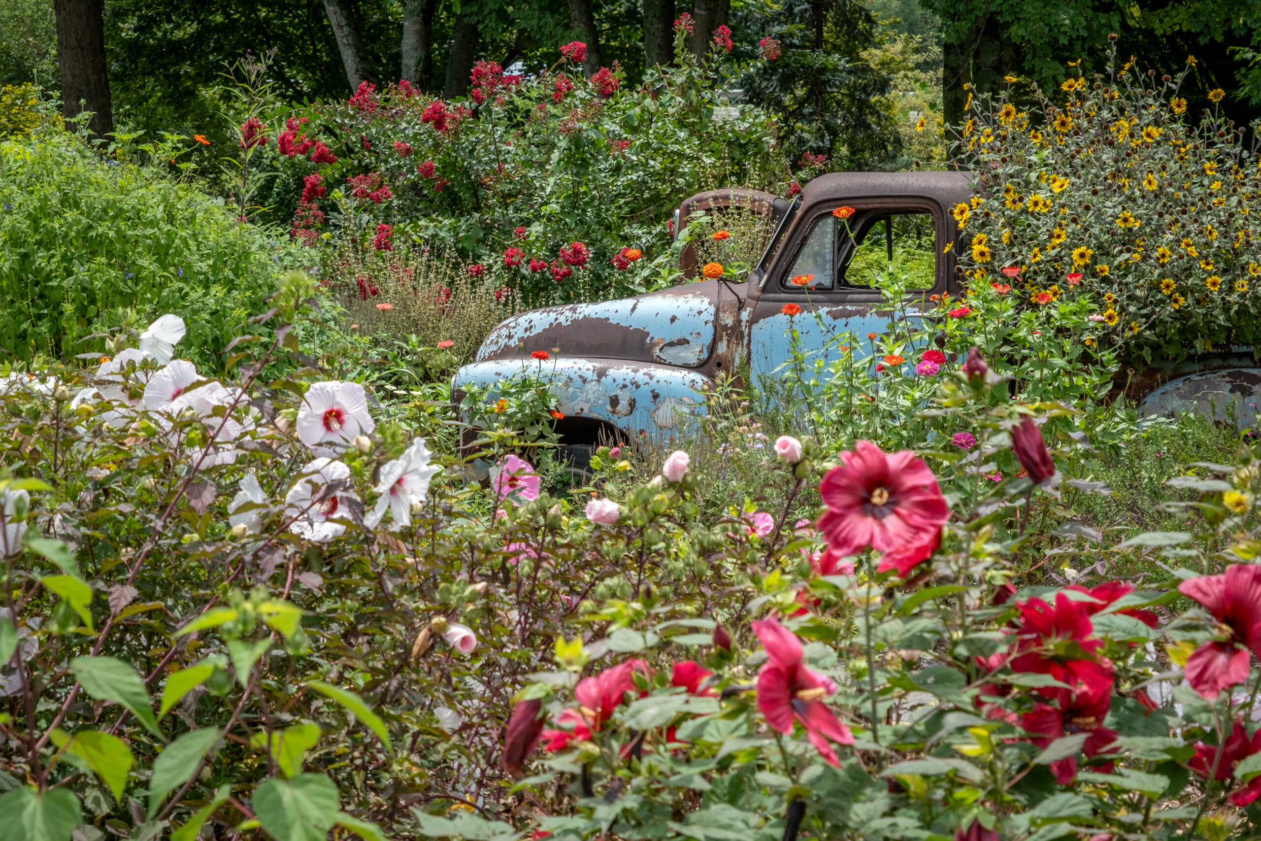 Visit Us | UT Gardens - The State Botanical Garden of Tennessee